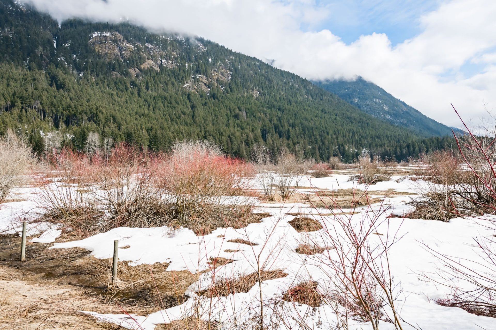 Top 10 Things To Do In The Sunshine Valley